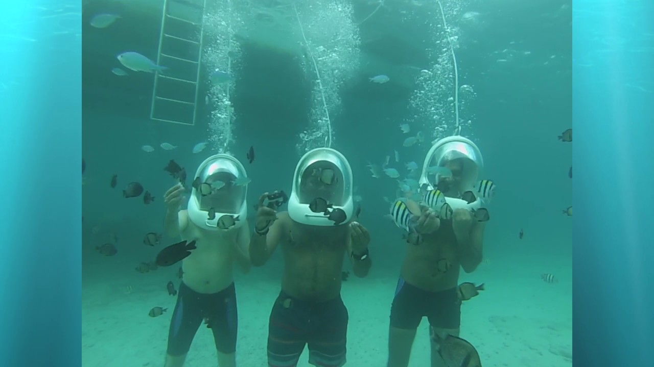 Boracay underwater adventure - Fish feeding - YouTube