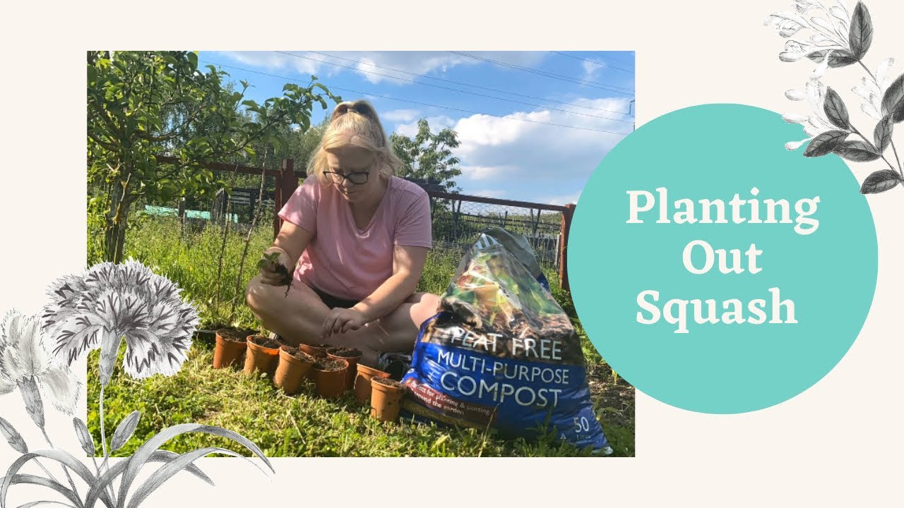 Planting Out Squash To Grow Over The Arch // Lots of Squash - YouTube