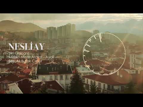 Nesliay - Gülnare | Şiir Seslendirme
