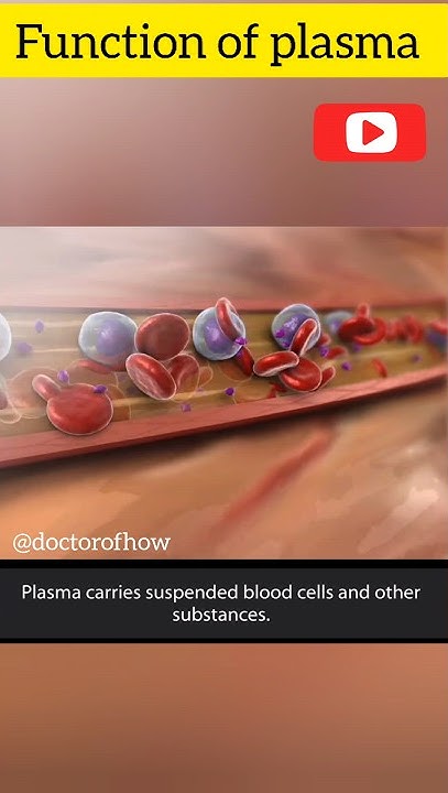 blood plasma || function of that #bloodplasma #shorts - YouTube