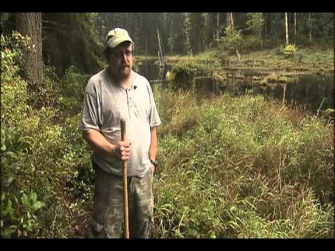 2010 Seattle Finalist: Forest Clark - YouTube