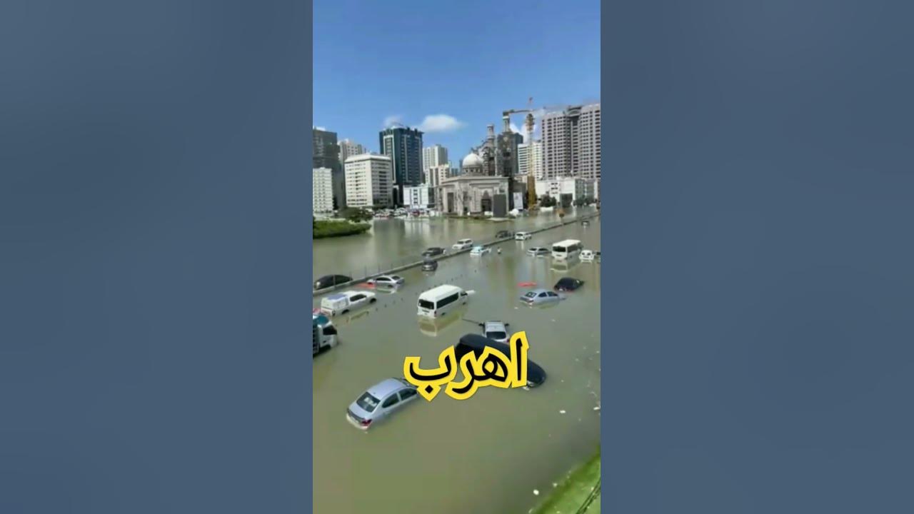 لا تهرب Qurankarimchromatics كروماتقرآن ماهرالمعيقلي قرانشاشة