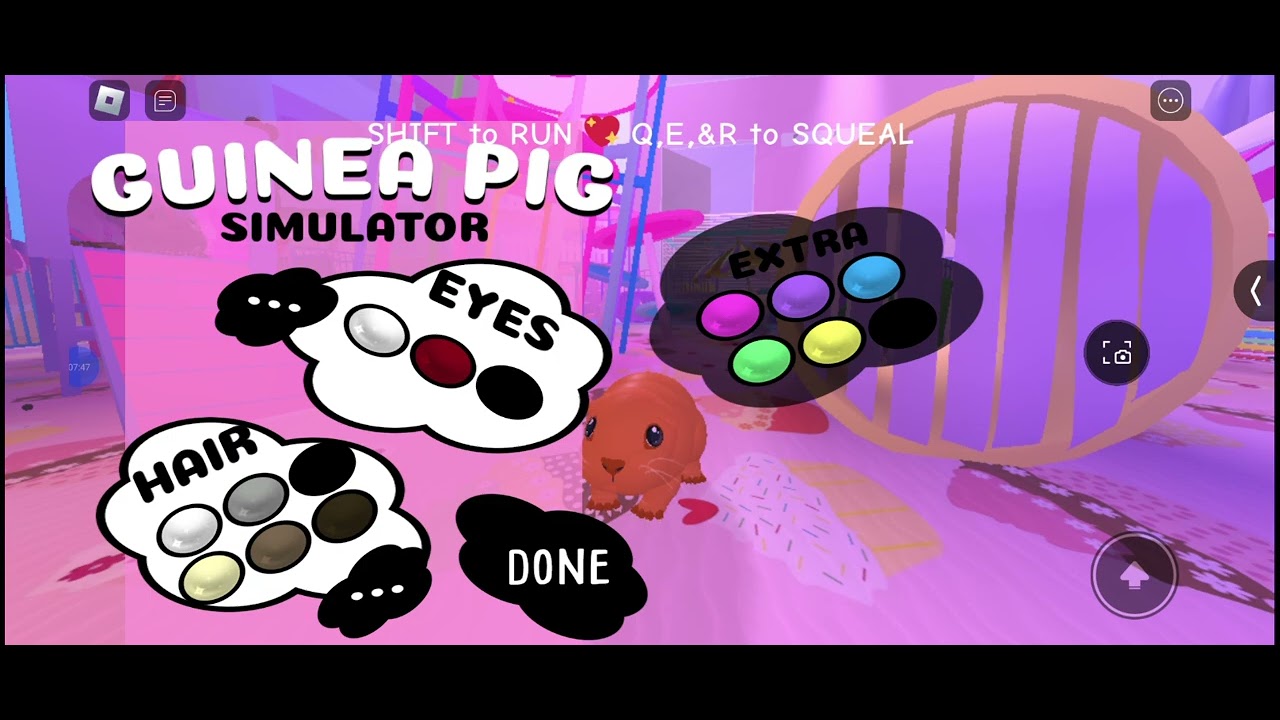 Playing Roblox Guinea Pig Simulator! (My First Video) - YouTube