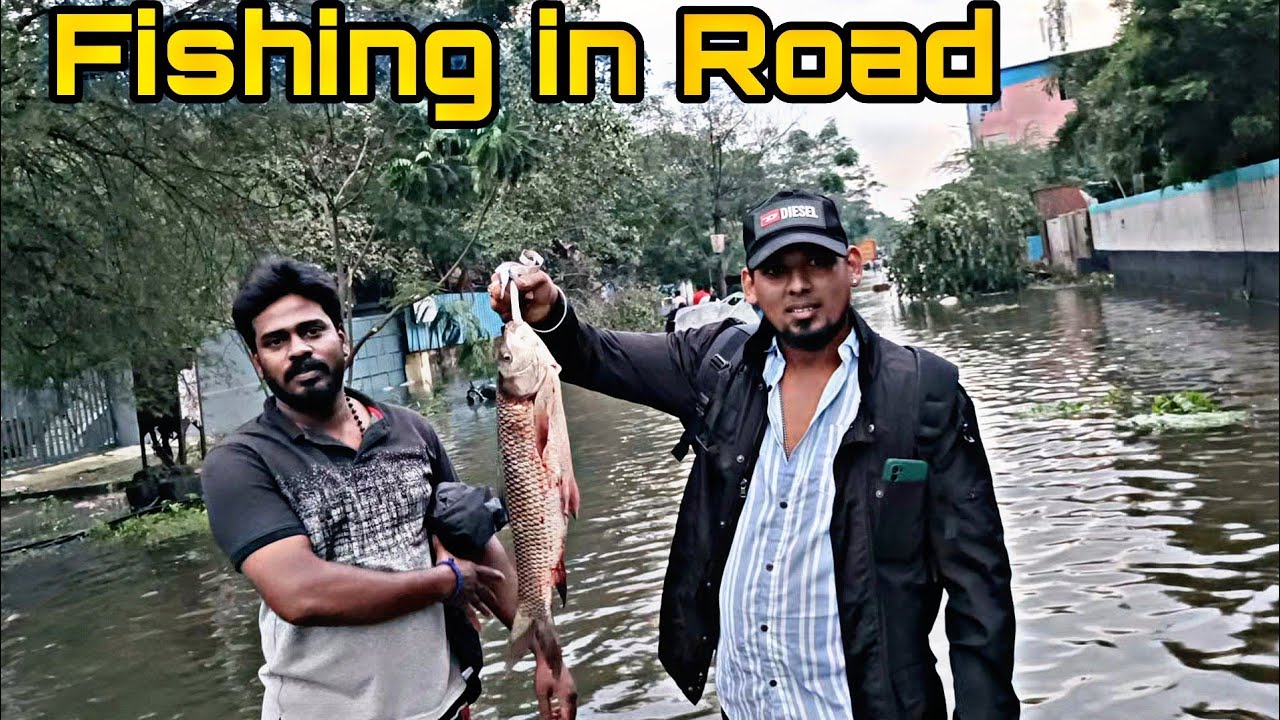 Fishing in Road 🐟🐠 🎣 | Fishing in Rain Water | Road Full of Big Size ...