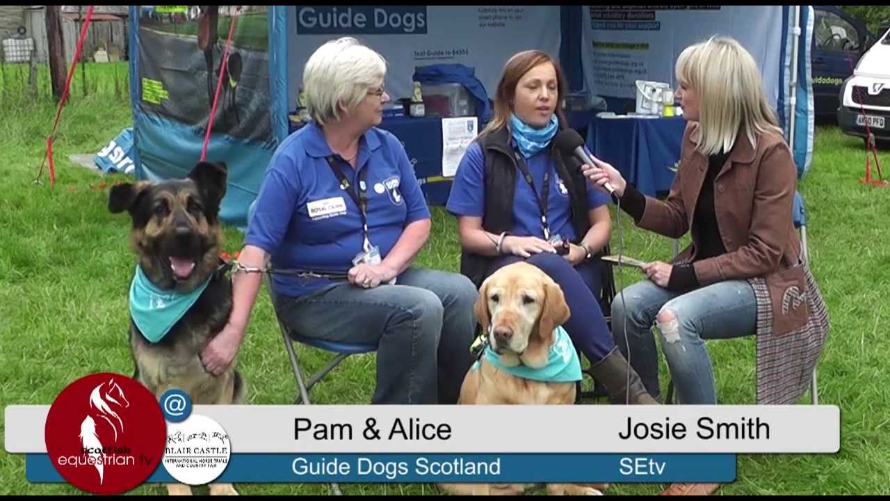 Guide Dogs Scotland - YouTube