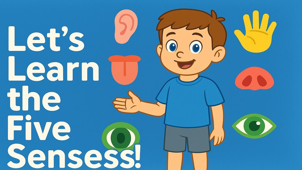 Let’s Learn the Five Senses! | Fun & Easy Learning for Kids - YouTube