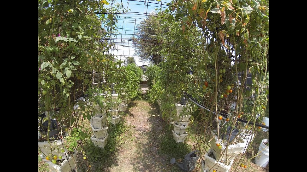 Hydro Stack Garden 5- 26-14 - YouTube