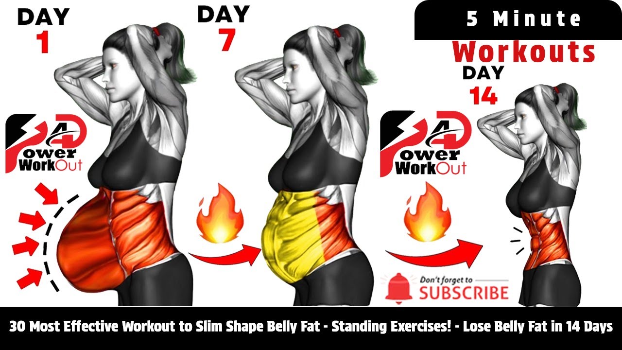 30 Most Effective Workout to Slim Shape Belly Fat Standing Exercises ...
