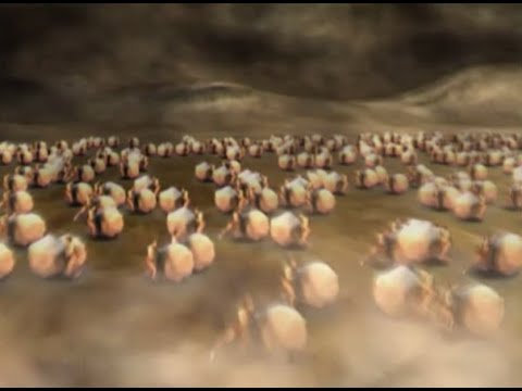 La Divina Commedia in HD - INFERNO, canto VII [7] - YouTube