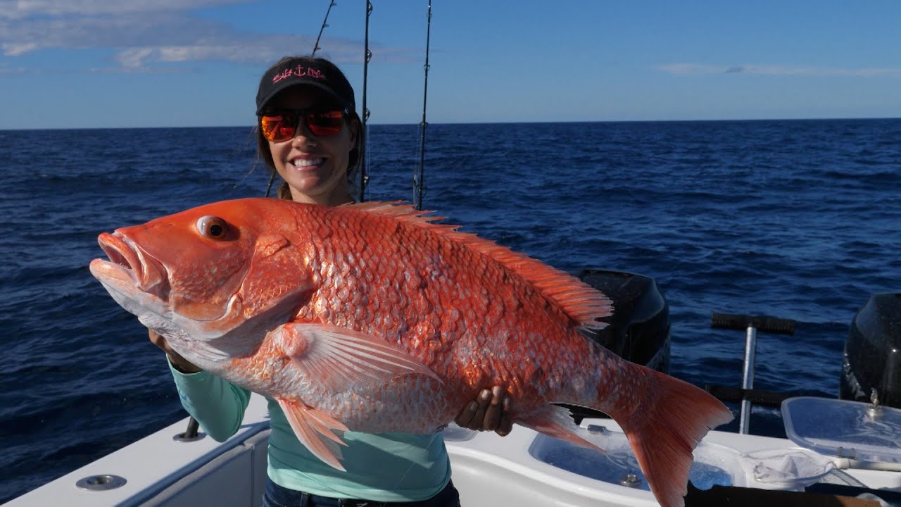 GIANT Fish! Offshore Fishing and Deep Dropping the Gulf of Mexico - YouTube