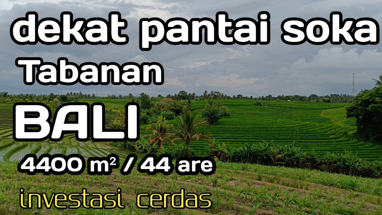 di jual lokasi dekat pantai soka tabanan bali. - YouTube