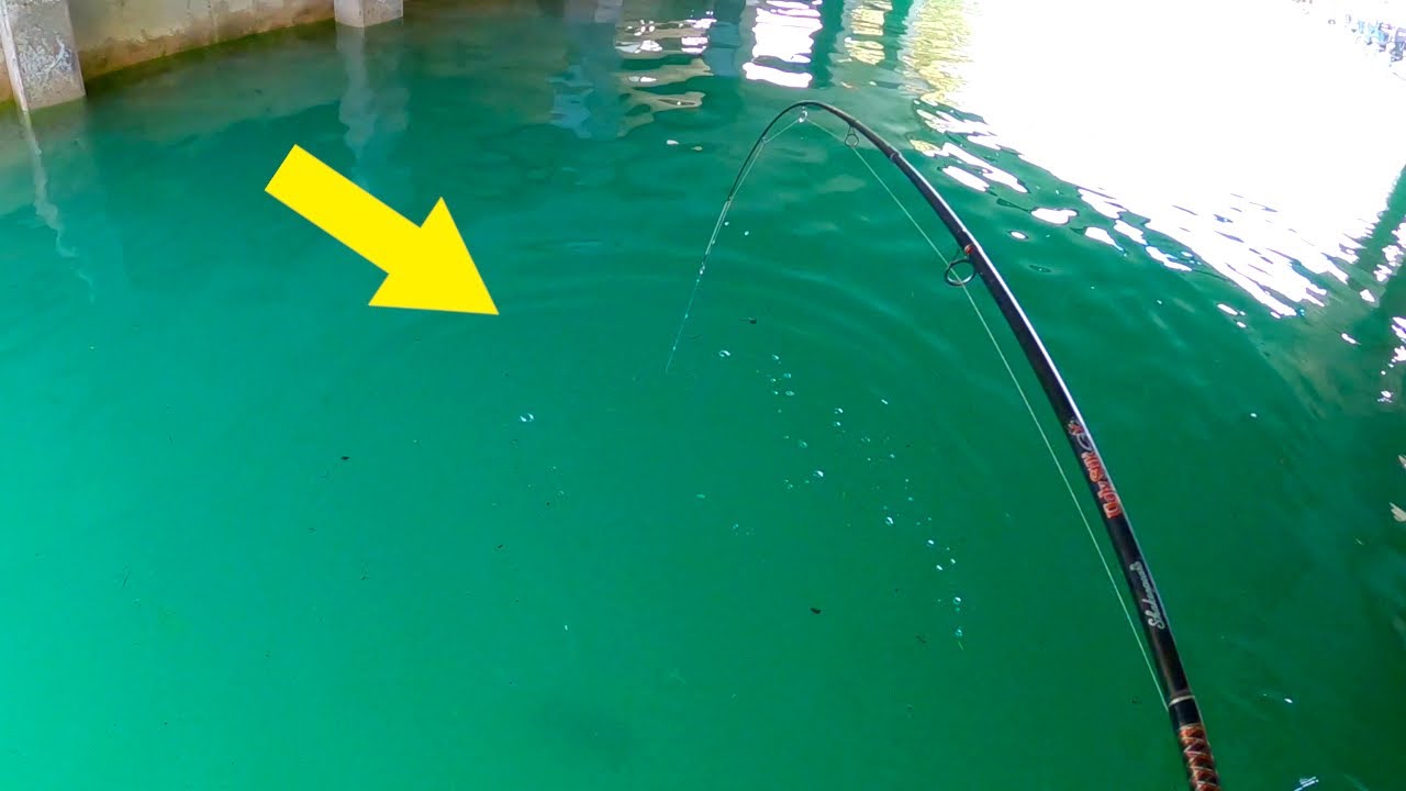 I Got The BIG Fish I Was After And More (Catch, Clean and Cook) - YouTube