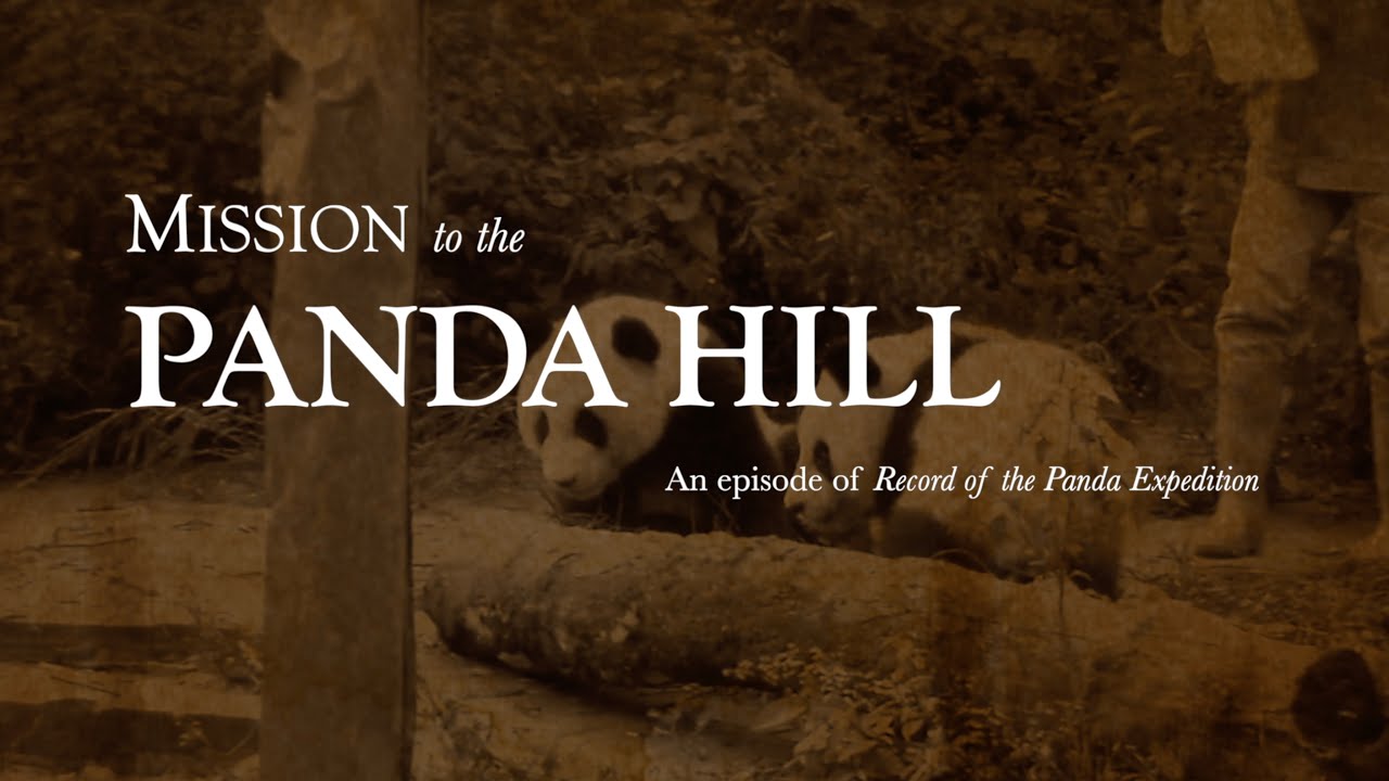 Mission to the Panda Hill | Teaser Trailer - YouTube