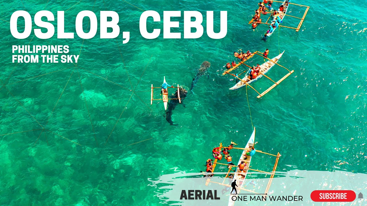 OSLOB, CEBU FROM DRONE (Aerial) | One Man Wander - YouTube