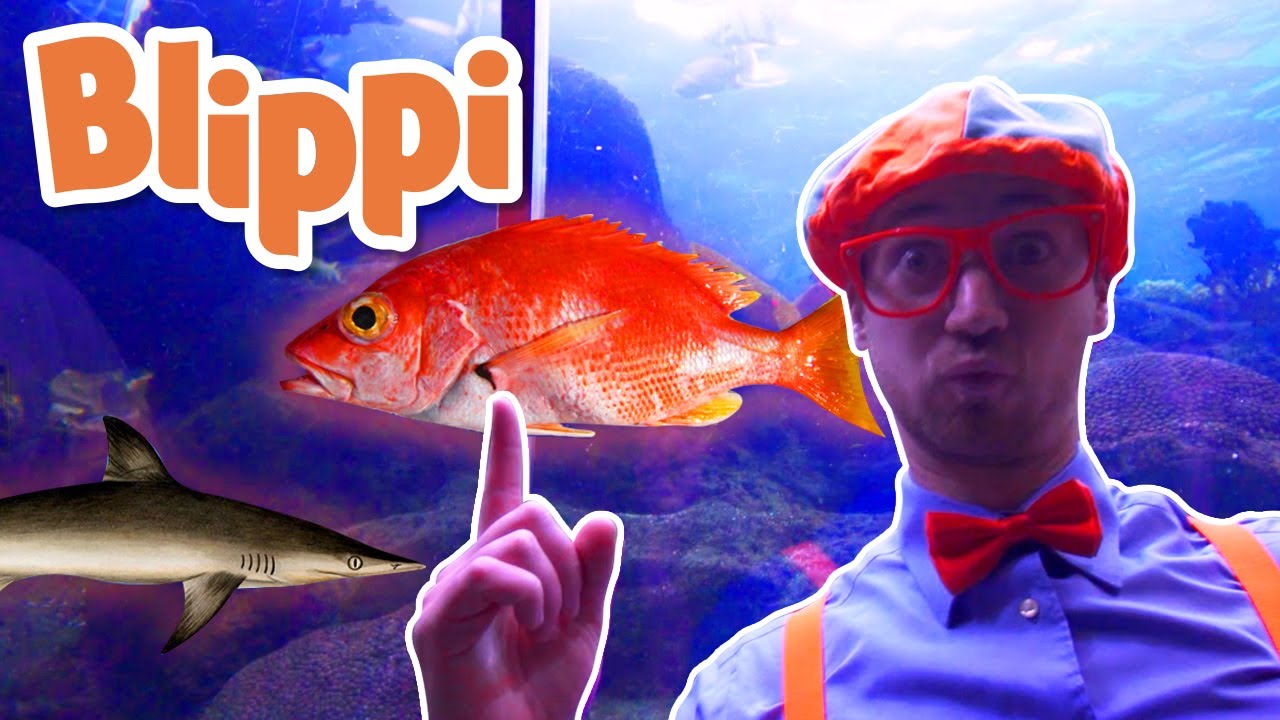 Blippi | Blippi Visits The Aquarium and MORE! | Explore with Blippi ...