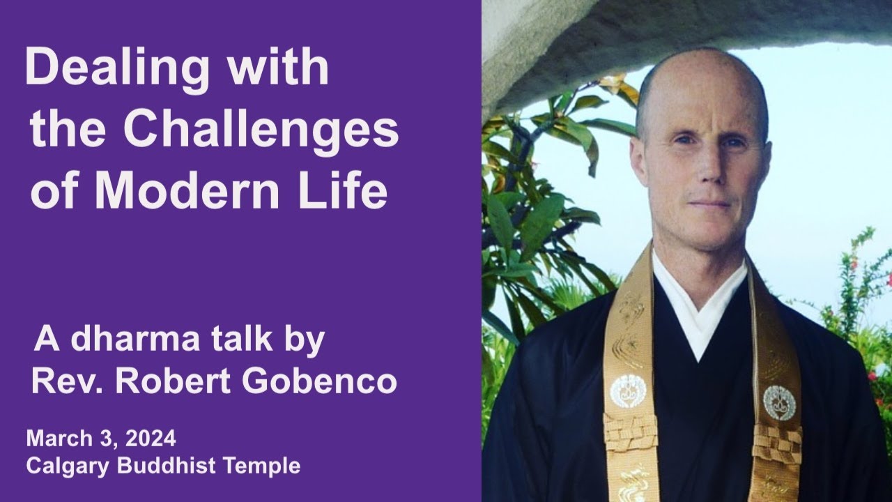 Dealing with the Challenges of Modern Life - Equanimity - YouTube