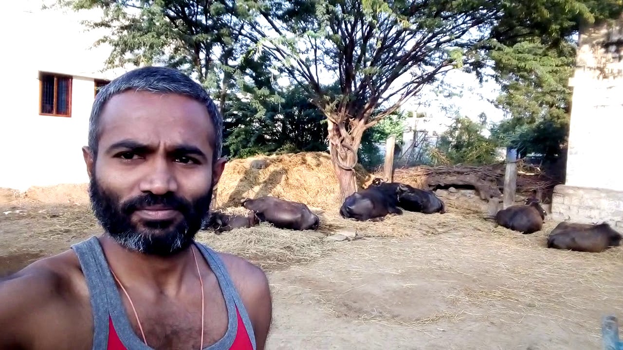 ಆಮ್ ನಮಃ ಶಿವಾಯ on 19th December 2019 - YouTube