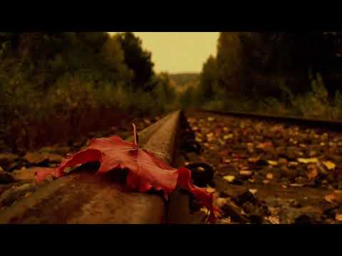 Böyle Bir Kara Sevda - Mesut Rastgeldi Project ft. Nursena Yener
