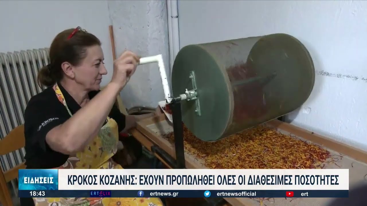 Ξεκίνησε η συγκομιδή του κρόκου Κοζάνης | 20/10/2022 | ΕΡΤ - YouTube