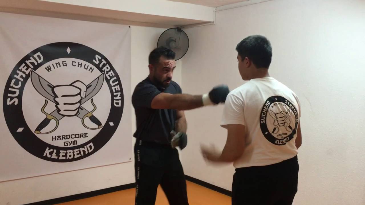 Ip Man Wing Chun Freestyle Combat - YouTube
