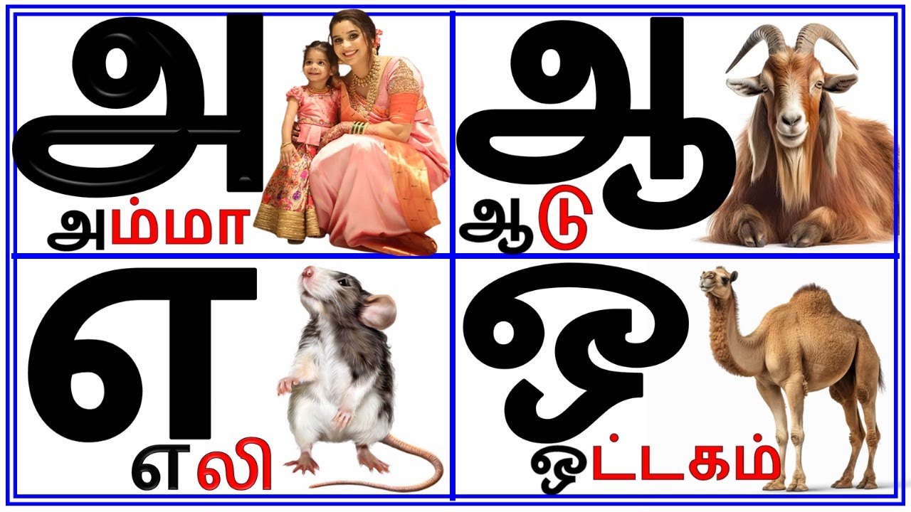 உயிர் எழுத்துக்கள்அ ஆ இ ஈ /Uyir Ezhuthukkal/tamil letter|A AA E EE ...