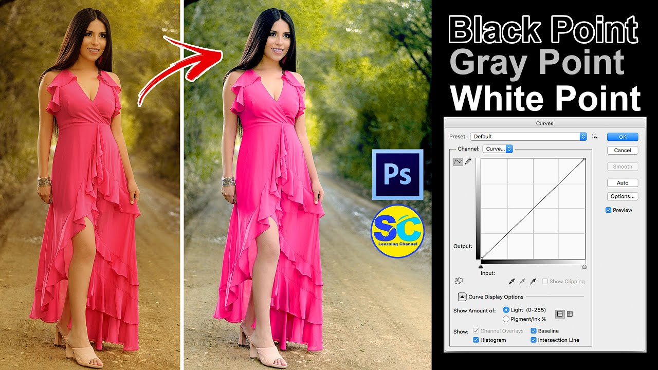 Remove Color Cast use Curves | Photoshop Curves | Black Point | Gray ...