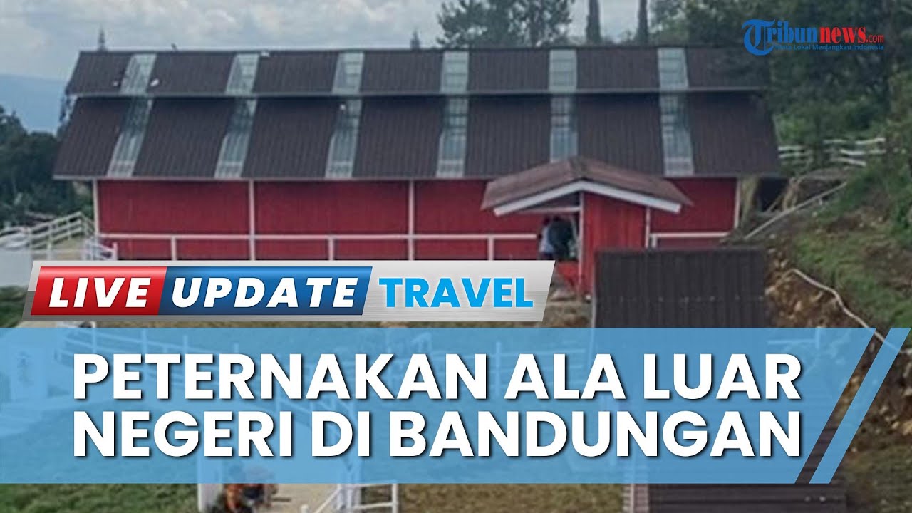 Litthe Ranch Bandungan Semarang, Tempat Wisata Alam Berkonsep ...