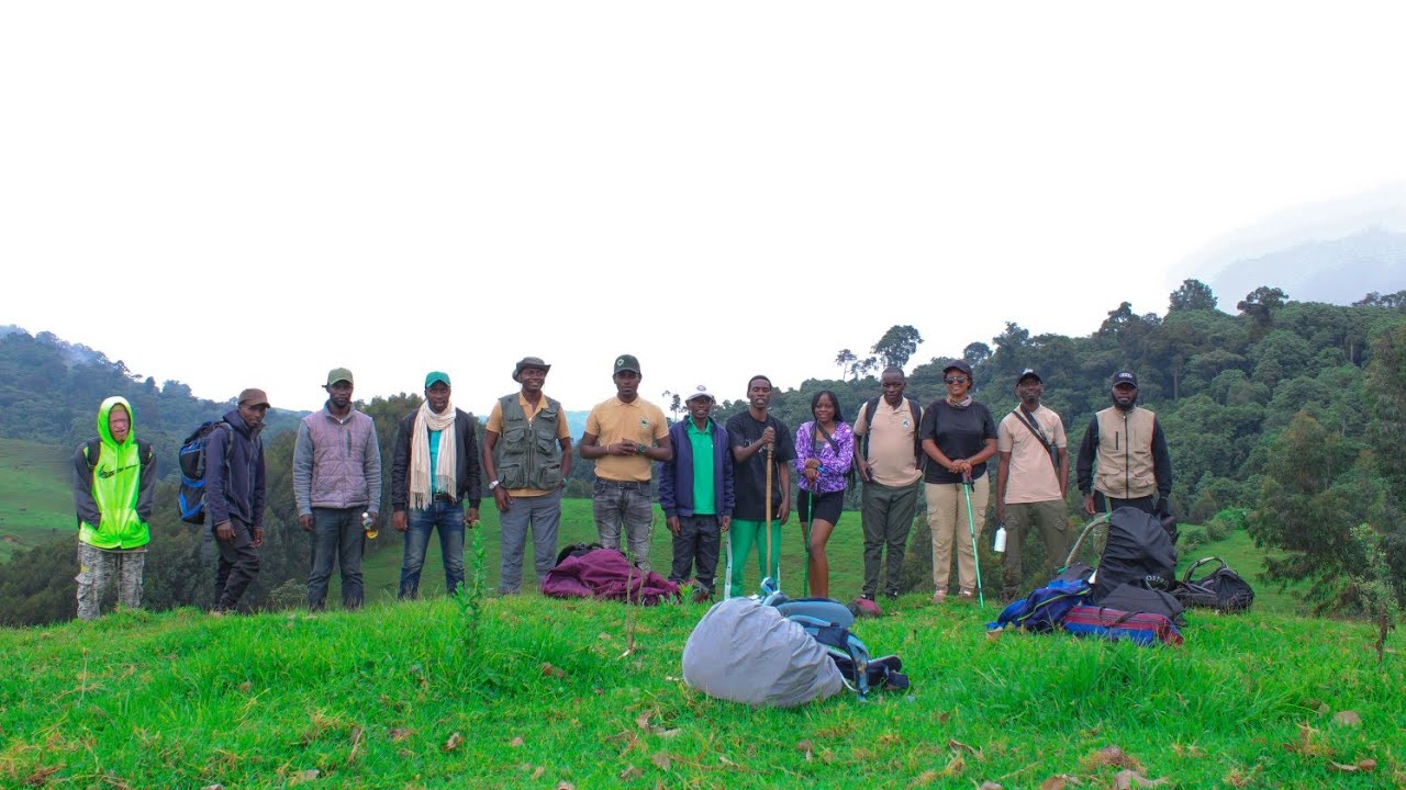 Walking around Gishwati-Mukura National park, hiking and camping in ...