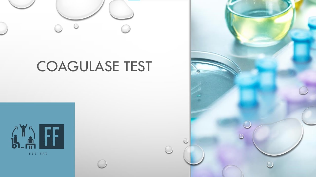Coagulase test | Microbiology | Short Note | - YouTube