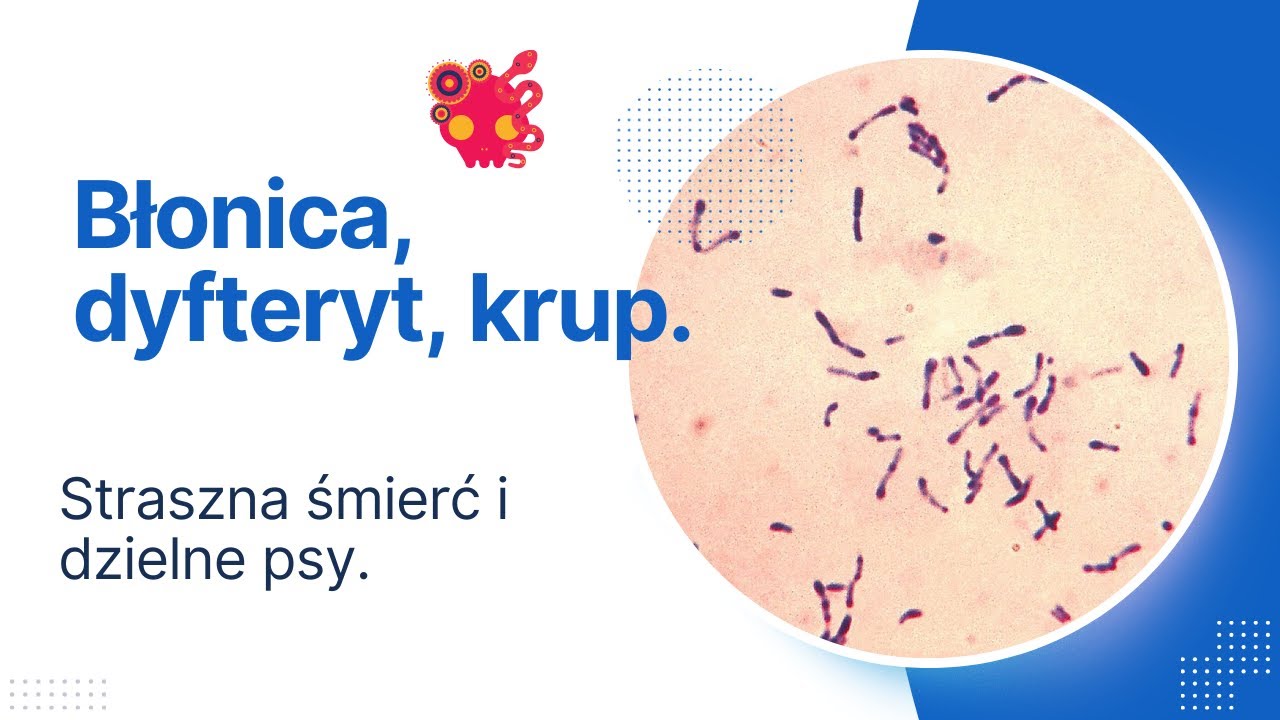Błonica, dyfteryt, krup, askara. Straszna choroba i bohaterskie psy ...