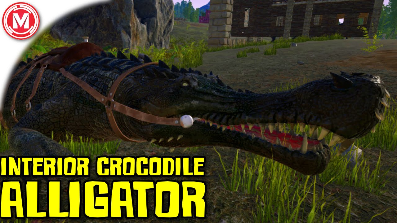 ARK: Survival Evolved - Interior Crocodile Alligator (Gameplay) - YouTube
