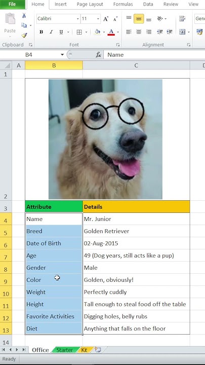 Excel Tips - Insert Align Colon #excel #tutorial #exceltips #officestarterkit #colon #shorts ...