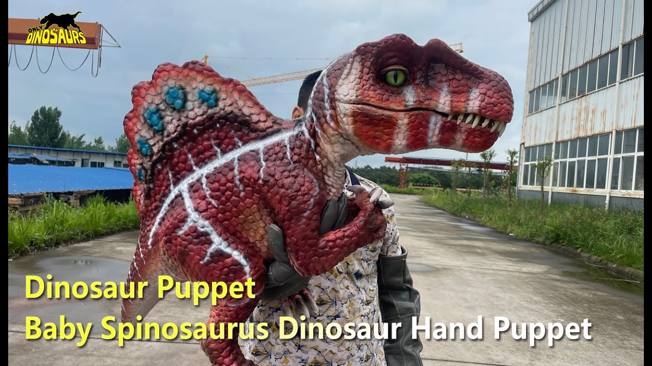 Baby Spinosaurus Dinosaur Hand Puppet | Dinosaur Puppet - YouTube