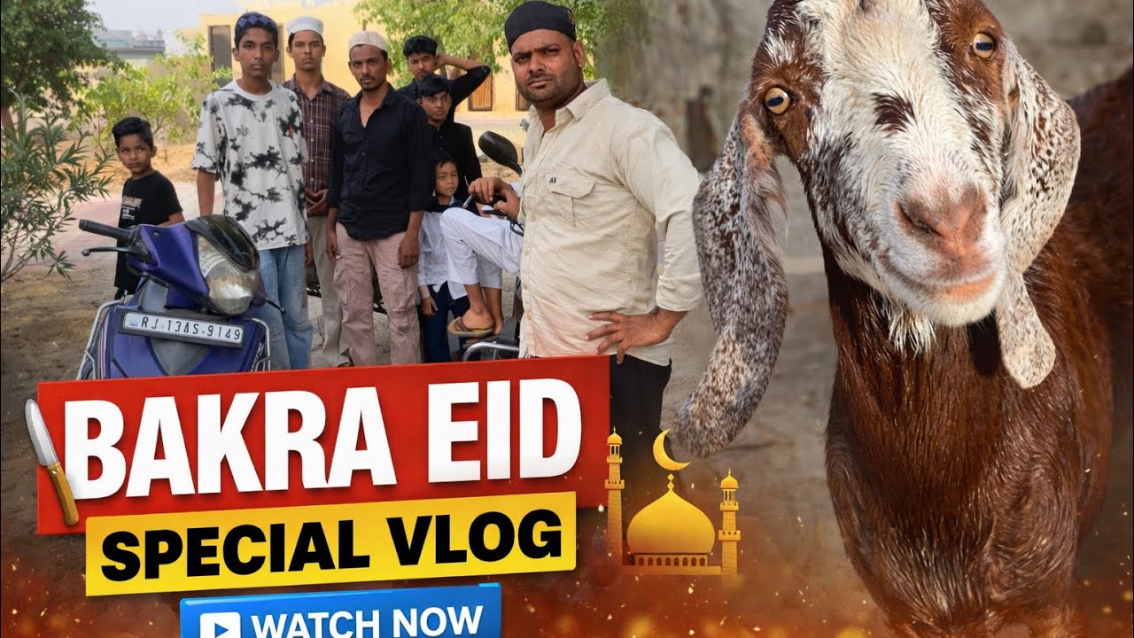 Bakra Eid special vlog 🐐 - YouTube