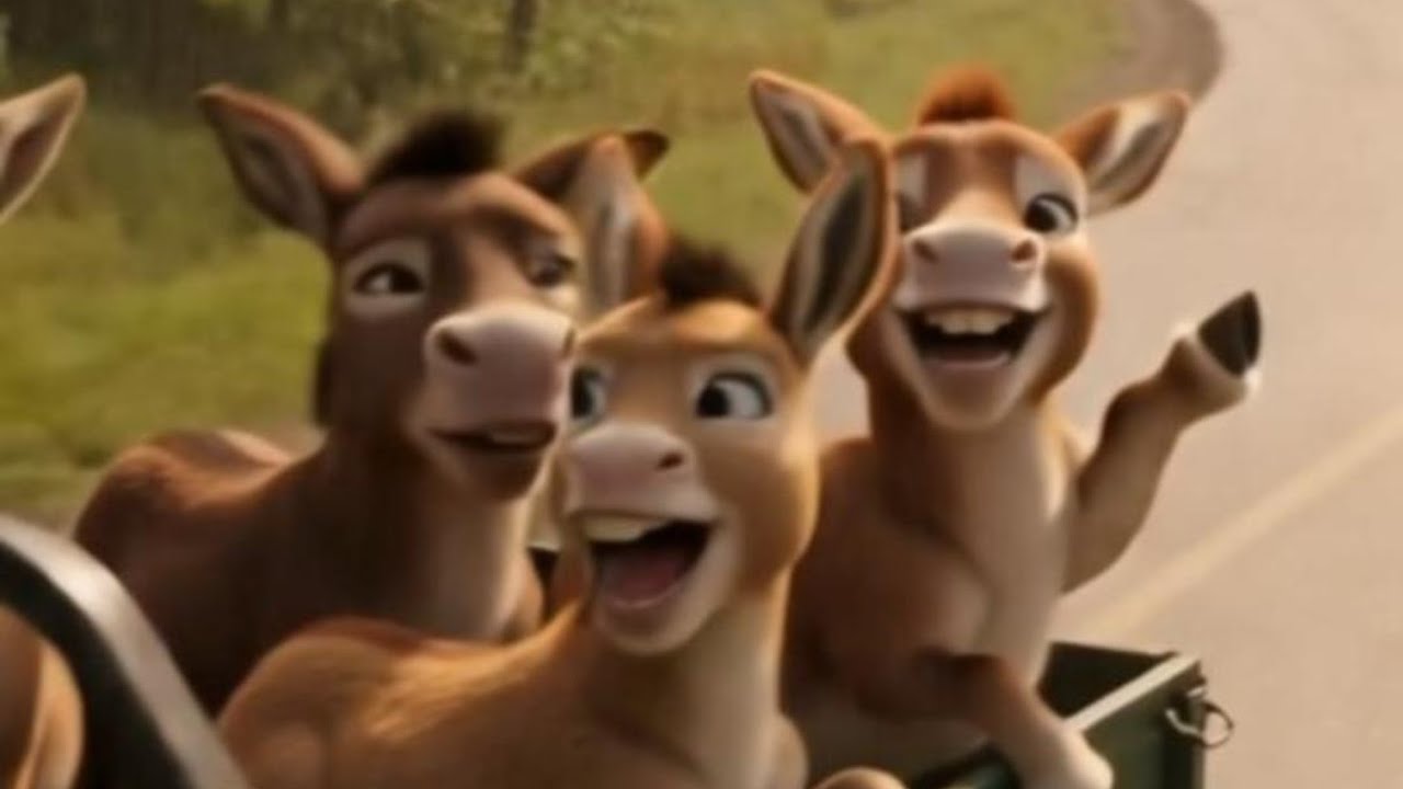 Surprise Donkeys Dance Party with Favorite Animal Friends #funnyanimals ...