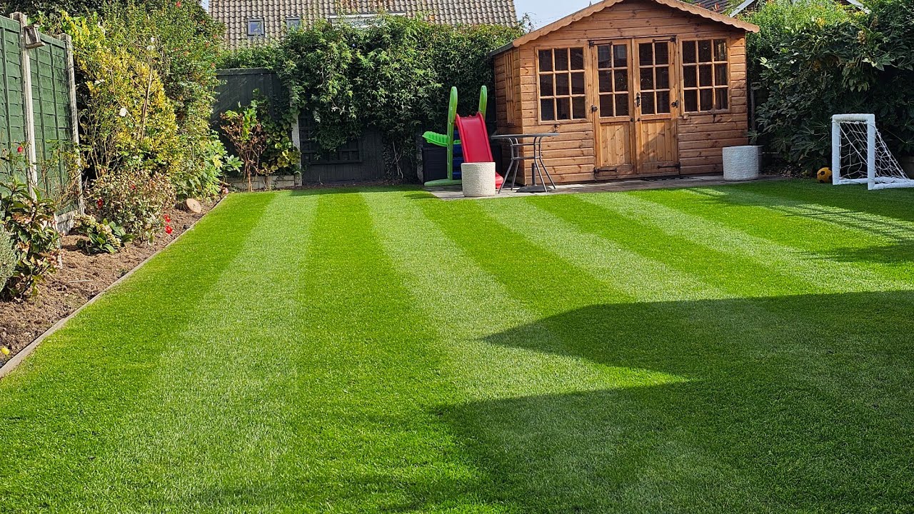 New lawn time-lapse. 36 days from seeding to a perfect lawn. - YouTube