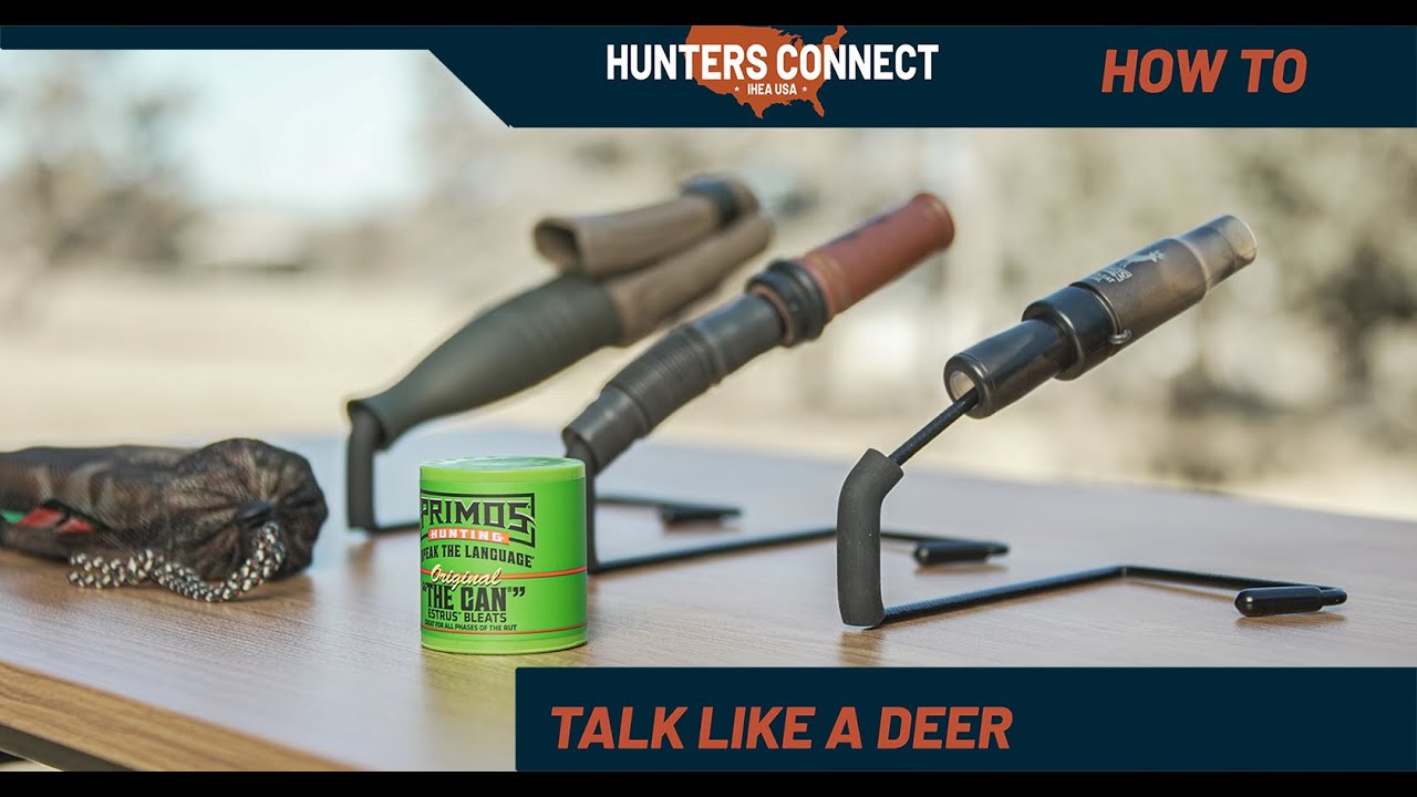 Become a Deer Whisperer; Learn How to Call Deer in the Field! - YouTube