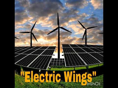 Electric Wings - YouTube