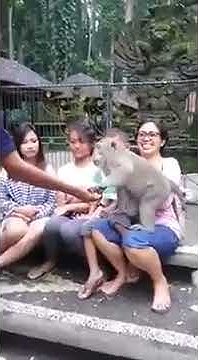 Foto bareng bokep - YouTube