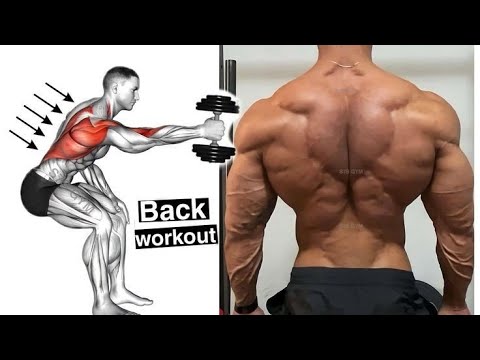 Full Back Workout At Gym | 20 Back Exercise | Best Back Workout At Gym ...