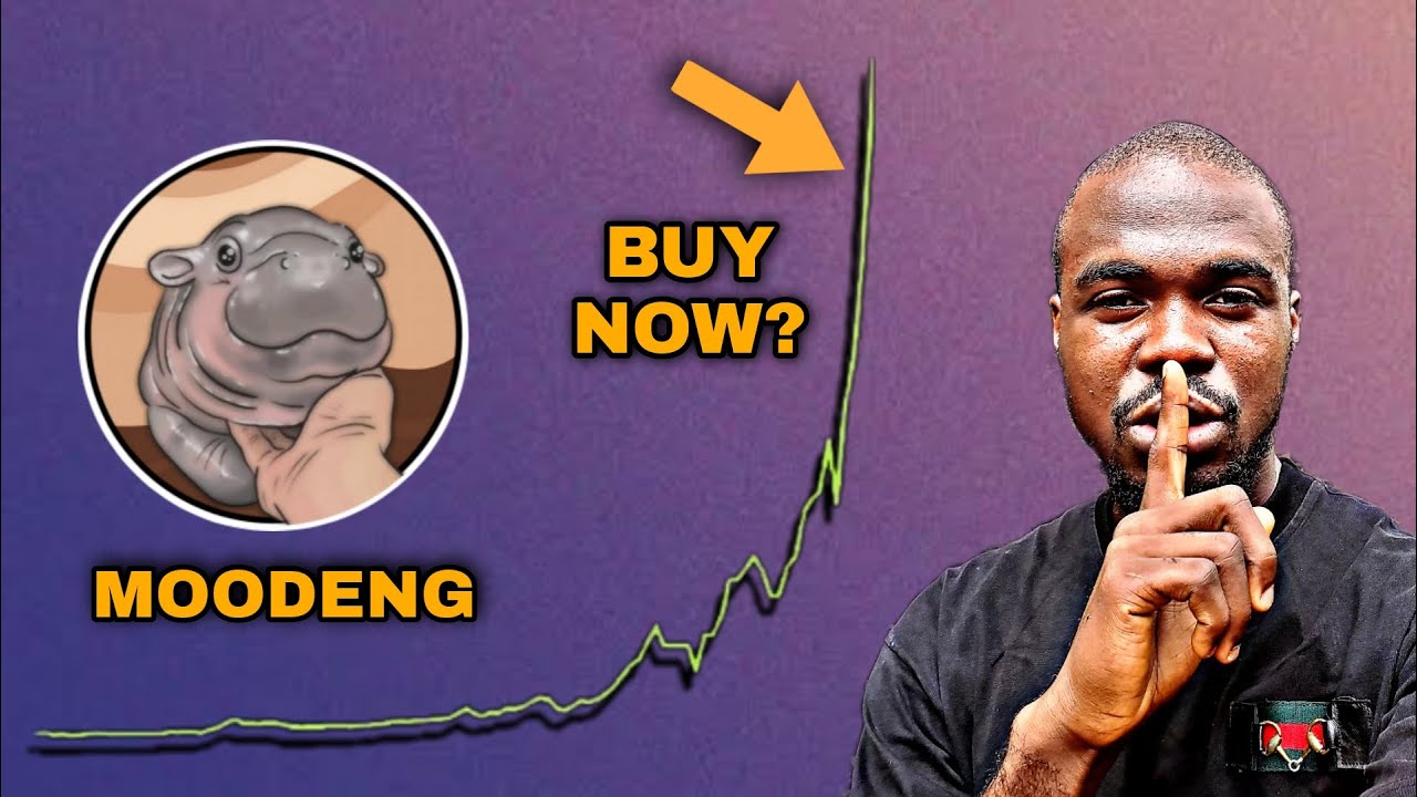 Buy Moo Deng Crypto Coin? 🤩 Moodeng Token Analysis - YouTube