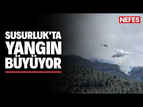 Susurluk’ta orman yangını büyüyor