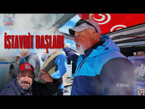 Beykoz’da İstavrit Avı Başladı | Çapari ile Kıyıdan Bereketli Balık Avı