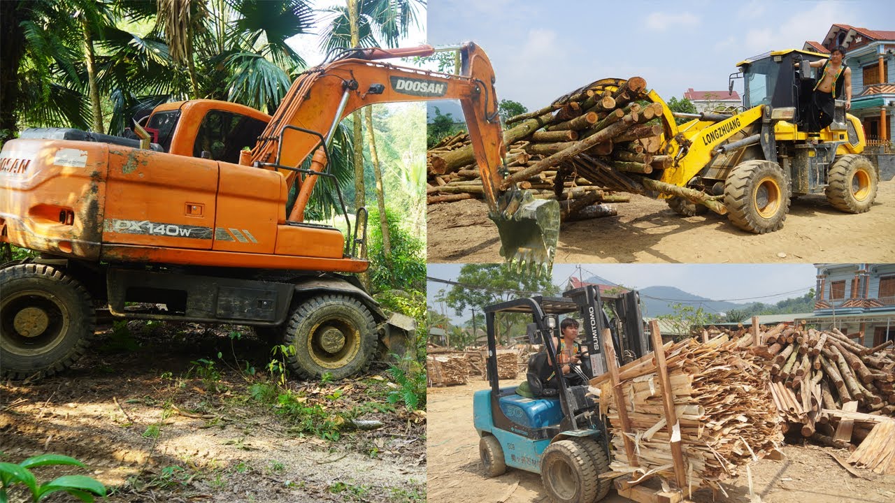 Excavators, Forklifts, Loader, Lots Of Big Machines Working With Wood ...