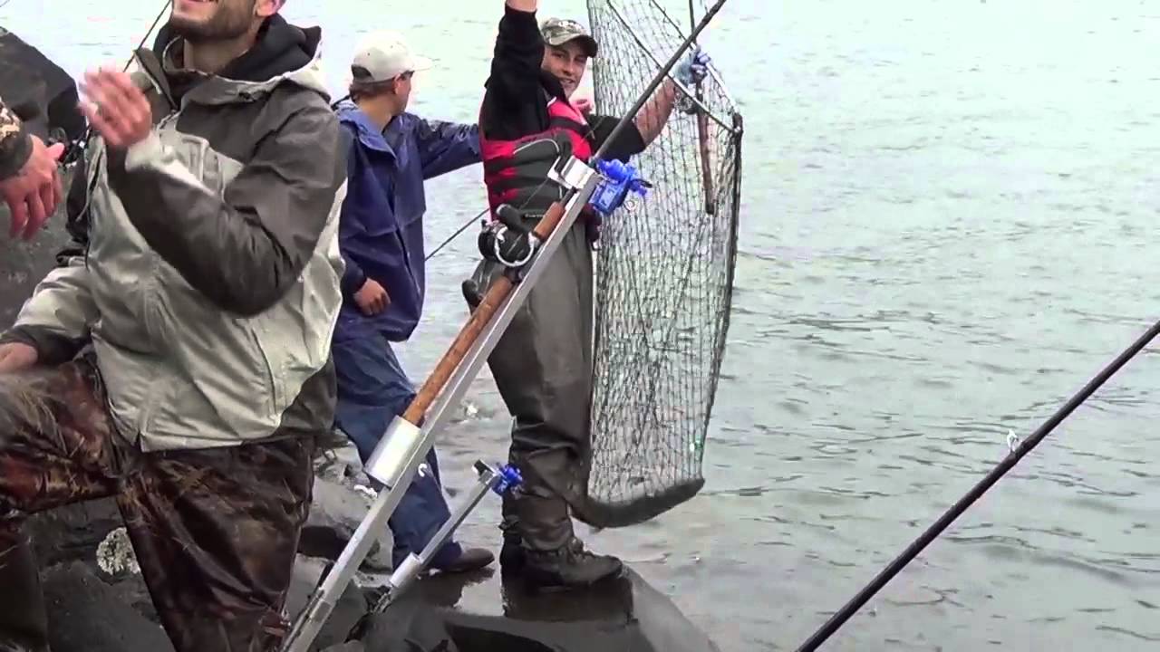 Columbia River Spring Chinook - YouTube