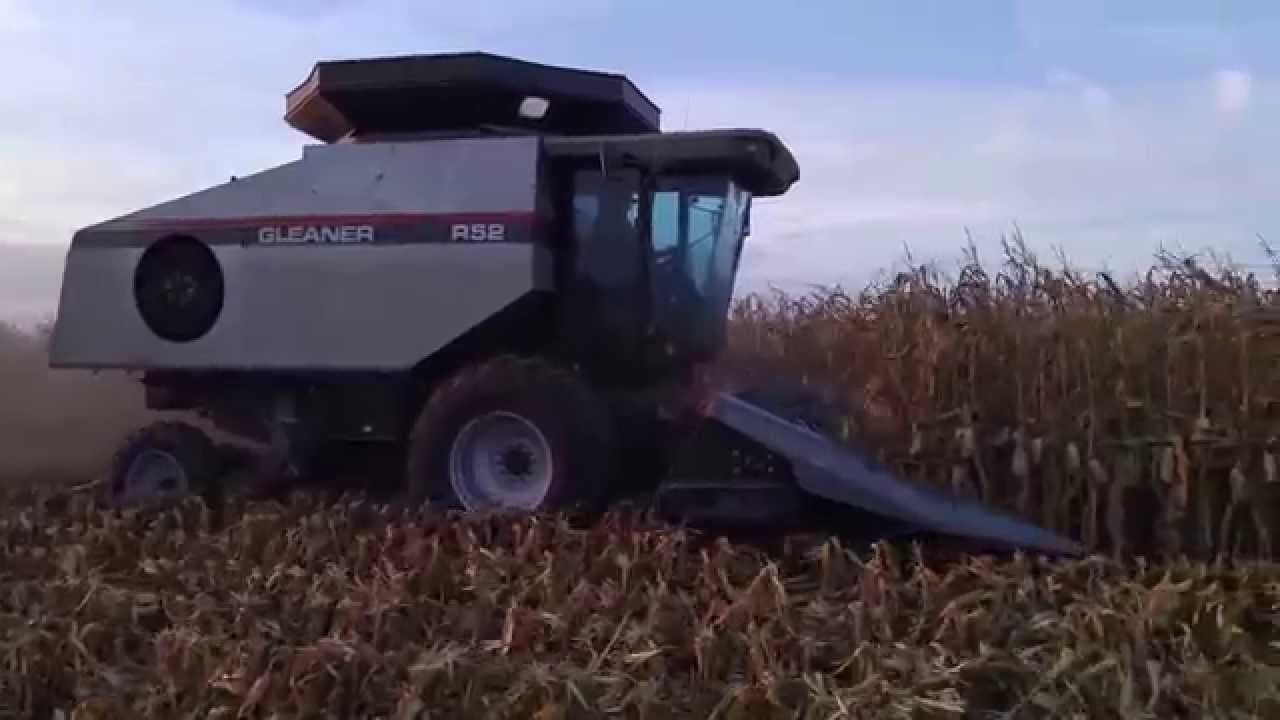 Farming Corn 2015 with Gleaner R52 - YouTube