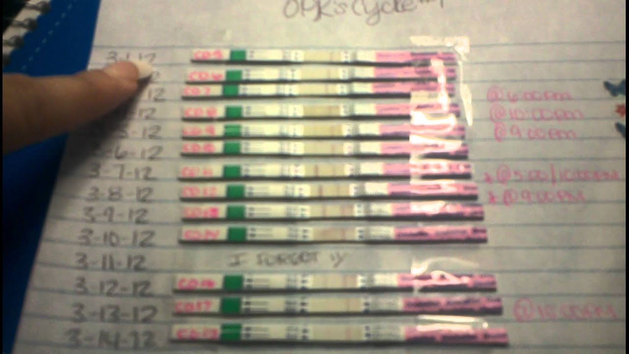 TTC VLOG #2- getting the hang of opk testing - YouTube