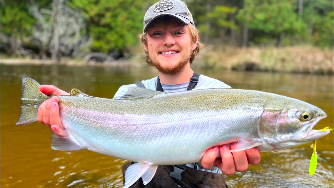 FALL Steelhead Fishing + Late Run King Salmon Action! {Michigan Fall ...