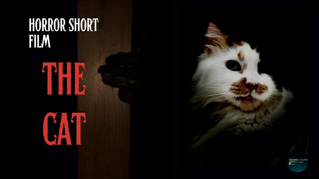 The Cat | Short Horror Film (4K) - YouTube