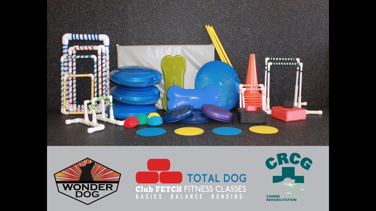 Total Dog Fitness Classes - YouTube